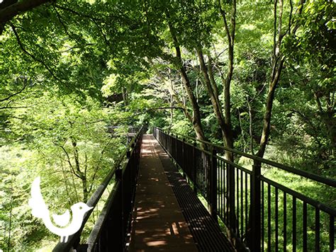 あつぎこどもの森公園