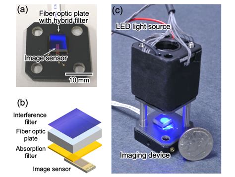 Fluorescence Imaging