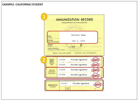 Uploading Vaccination Records Health Requirements For Students
