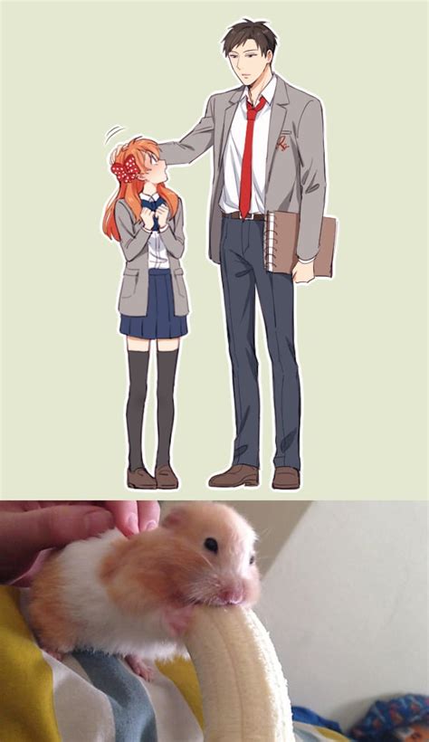 Height Difference Ranimemes