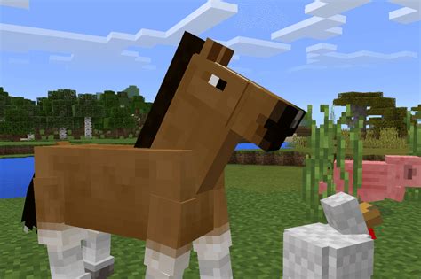 Corrupted Chunks In Minecraft Fix