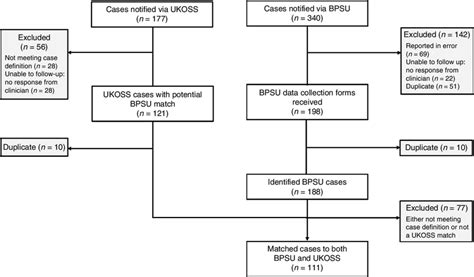 Flowchart Of Case Selection For The Study Period 1st March 2020 To 31st Download Scientific