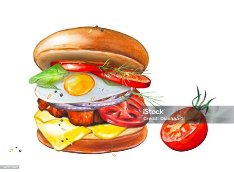 토마토 계란 치즈 양파를 곁들인 손으로 그린 햄버거 수채화 음식 그림입니다 감자 요리에 대한 스톡 벡터 아트 및 기타 이미지 감자 요리 건강하지 못한 생활방식 고기