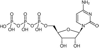 CTP Solid Nucleotides Jena Bioscience