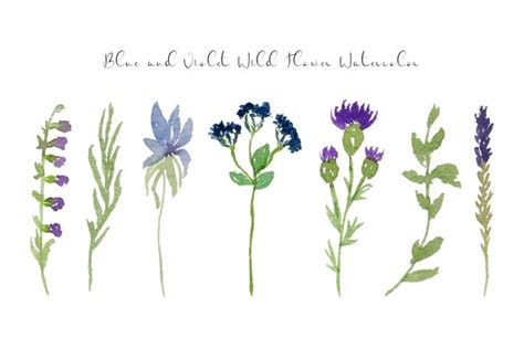 아름다운 푸른 봄 야생화 수채화 세트 프리미엄 벡터