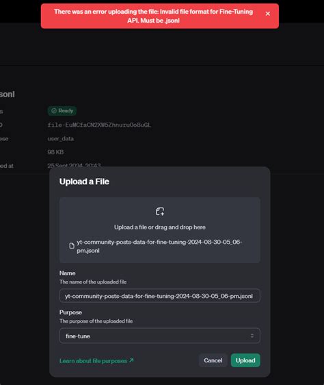 There Was An Error Uploading The File Invalid File Format For Fine Tuning API Must Be Jsonl