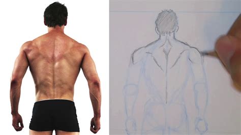 How To Draw A Human Back
