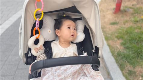 앉아서 산책하는 게 처음인 아기 배시넷 졸업 Youtube