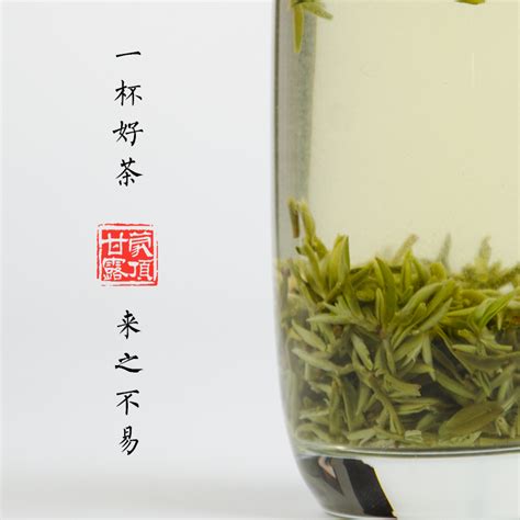 几叶蒙顶甘露 2023年新茶明前头采高山纯手工高端绿茶花朵芽 虎窝淘