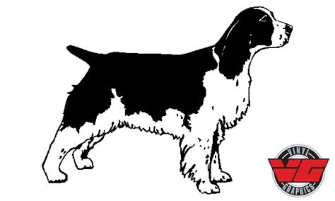 Vehicle Graphics Animal And Wildlife Decals Vg940 Springer Spaniel