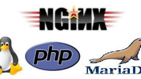 Install Nginx Server With Php And Mariadb By Cenusasilviu Fiverr