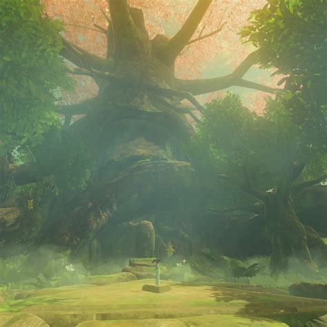Zelda Botw Korok Forest Zelda Botw Korok Gvgalk