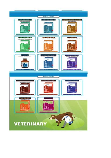 Liver Extract B Complex Injections At ₹ 45box Industrial Area Phase