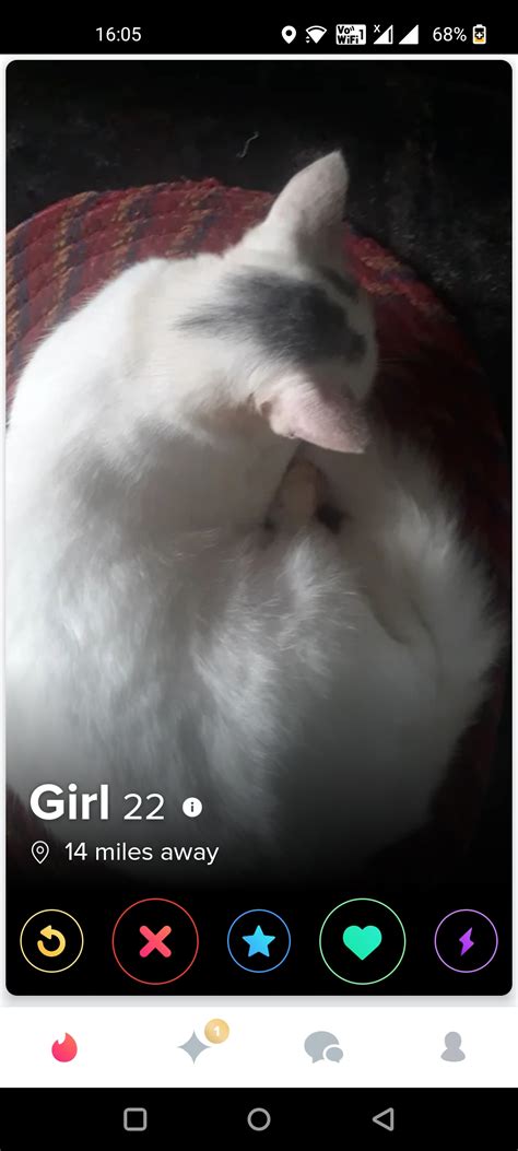 When Your Machine Learning Algo Fails Scrolller