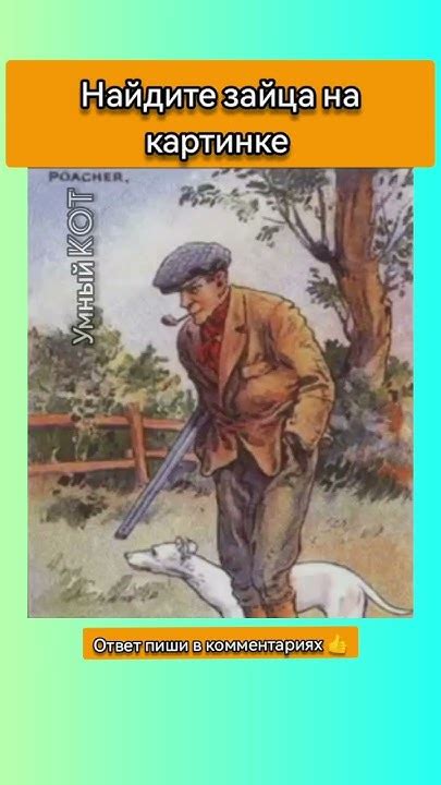 найдите зайца на картинке головоломка юмор мем Funny History