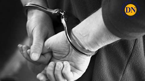 Гэмт хэргийн шинжтэй гомдол мэдээлэл 6 3 хувиар өсчээ Dnn Mn