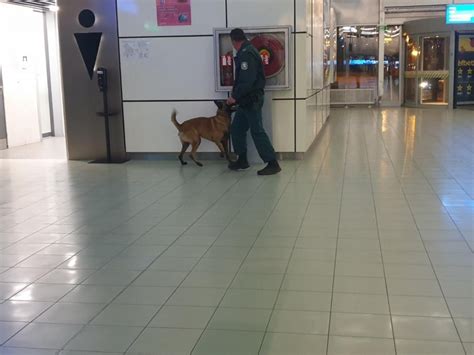 Иван Гешев се прибра от САЩ с полет от Франкфурт снимки