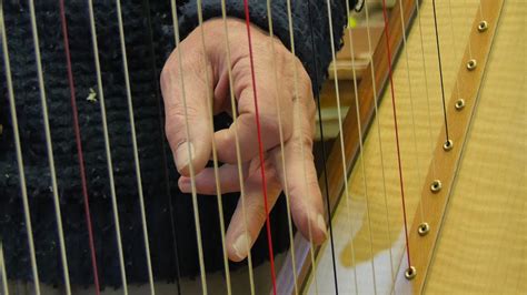 String Harp