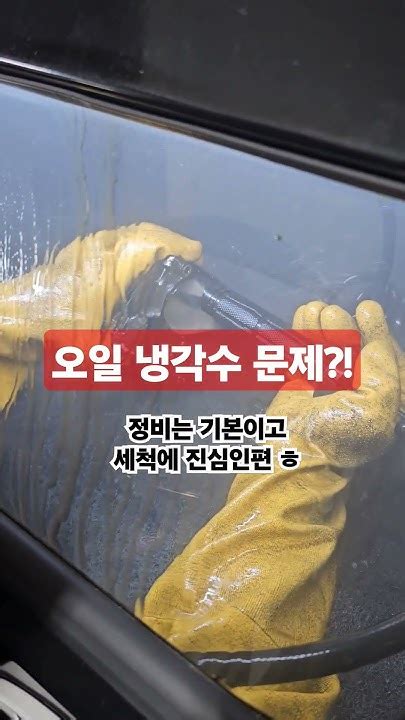 오일누유 냉각수누수 냉각수경고등 자동차수리 오일 또는 냉각수 문제 정비시 고치는건 기본이고 세척에 진심인편 ㅎ Youtube