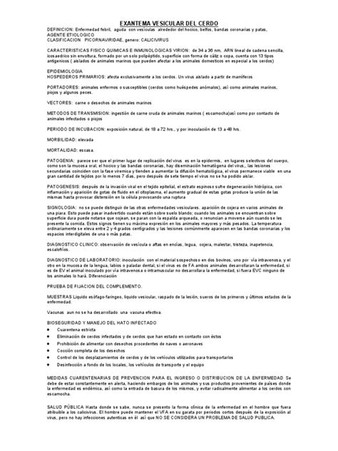 Exantema Vesicular Del Cerdo Pdf Virus Ciencias De La Salud