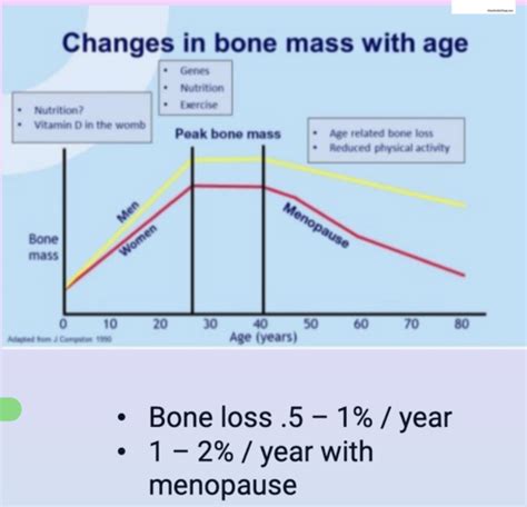 Bone Pathophys Flashcards Quizlet
