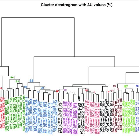 clustering analysis using the snp genotyping data identified using