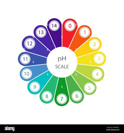 Ph Scale Diagram Gauge For Acid And Alkaline Balance Chemical Analysis Or Test Vector