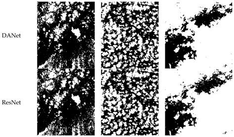 Radiation Feature Fusion Dual Attention Cloud Segmentation Network
