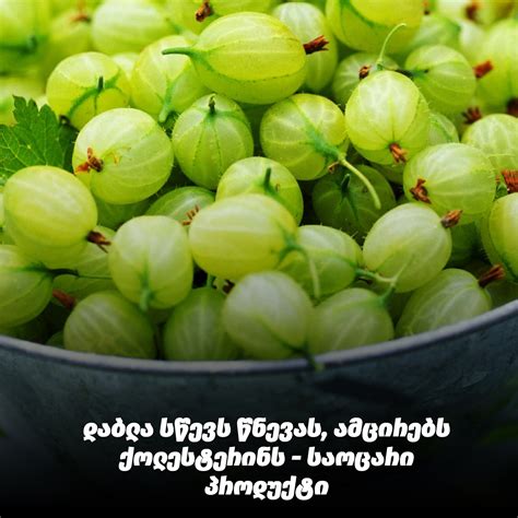 დაბლა სწევს წნევას ამცირებს ქოლესტერინს გაიცანით კიდევ ერთი სასარგებლო მცენარე 👇 Facebook