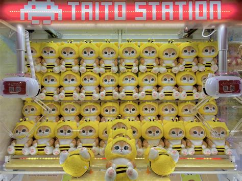 タイステ 神辺 On Twitter 【新入荷情報】 『mofusand ミツバチにゃんbigぬいぐるみ』入荷しました！ タイトー神辺