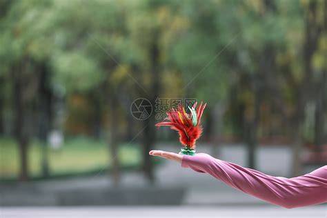 女性手托起一个羽毛毽子特写高清图片下载 正版图片501707465 摄图网