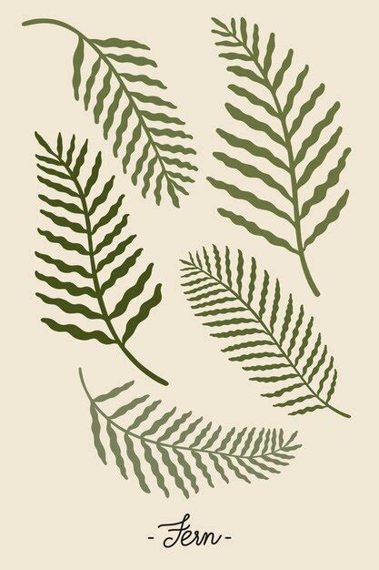 Fern Leaf Vector