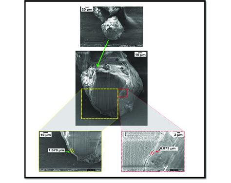 SEM FIB Technique Of AN Coating Sample Download Scientific Diagram