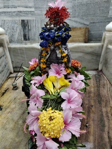 anand chaudhary on linkedin श्री रसेश्वर महादेव काशी हिन्दू विश्व विद्यालय वाराणसी दिनांक 11 अगस्त…