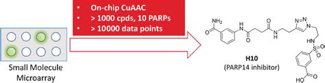 Small Molecule Microarray Based Discovery Of Parp14 Inhibitors Peng 2017 Angewandte Chemie