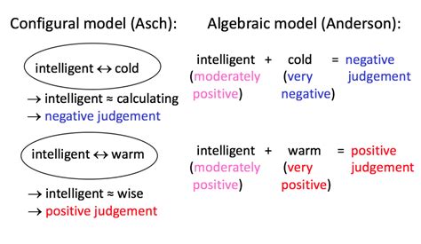 Person Perception Diagram Quizlet