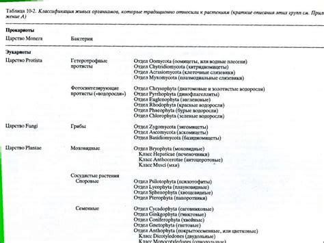 Циклы развития высших споровых и семенных растений презентация онлайн