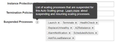 Aws Suspend Auto Scaling Group Processes And Disable Auto Scaling