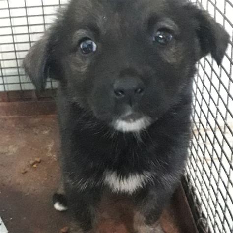 ОП Екоравновесие Столична община