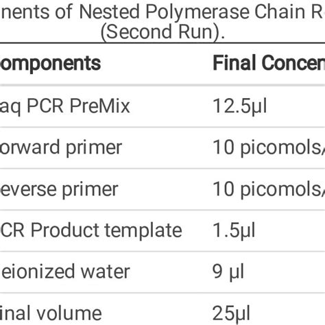Components Of Nested Polymerase Chain Reaction First Run Download Scientific Diagram