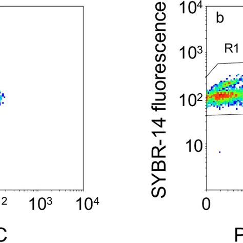 A Fsc Relative Cell Size Vs Ssc Relative Cell Complexity