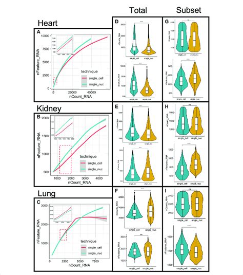Measurements Of Rna Capture Gene Mapping And Subsampling Of Cells From