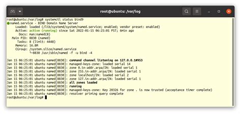 Can T Start BIND Lab Configure Caching DNS Linux Foundation