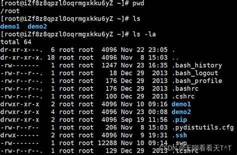 Linux的基本指令 一 Csdn博客