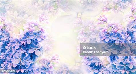 꽃 봄 배경입니다 라일락 꽃의 배경입니다 휴일 기념일 축하를위한 엽서 자연 개화기에 대한 스톡 사진 및 기타 이미지 개화기 계절 공휴일 Istock