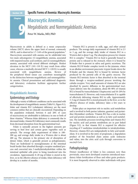Macrocytic Anemias Pdf Anemia Vitamin B12