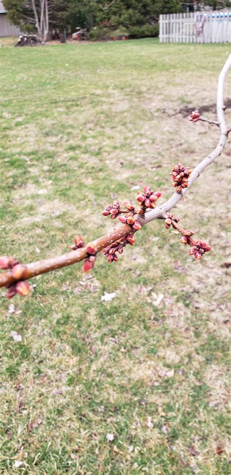 Hendricks Careertek Home Facebook