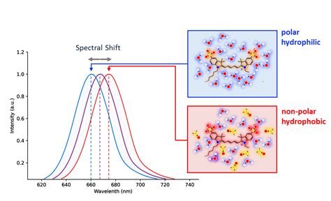 Binding Curve Direction In Spectral Shift Nanotemper Technologies