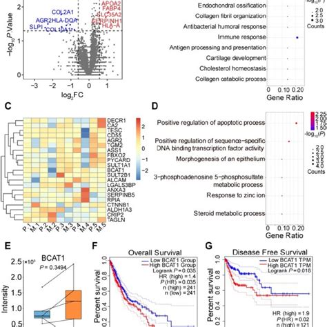 Tmt Based Quantitative Proteomic Analysis Of Primary And Metastatic