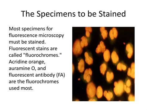 Fluorescence Microscopy Pptx Chemistry Science